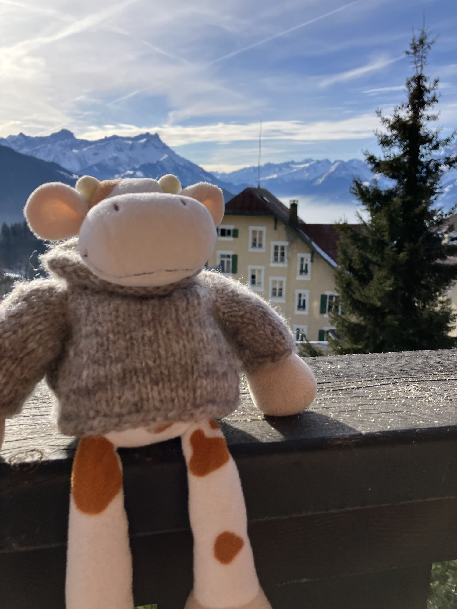 Capitalism – Moove your cow, and your mind will follow.